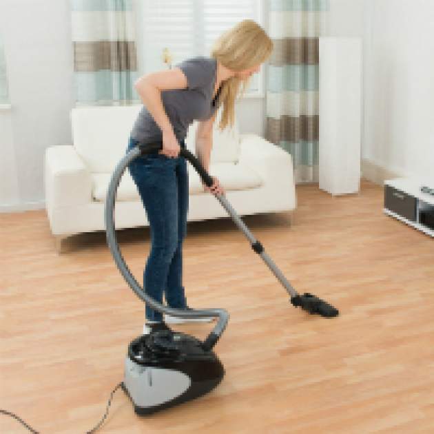 V čom je blcha ľudská odlišná od zvieracej? - ZDRAVIE.sk