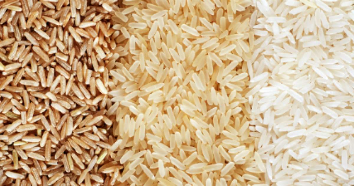 Ryža natural. Prečo práve ona? - ZDRAVIE.sk