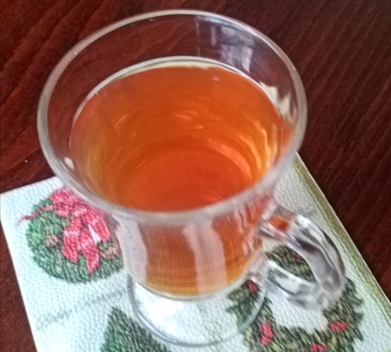 Kombucha (kombuča) – čajová huba, ktorá zlepšuje trávenie a zbavuje ...