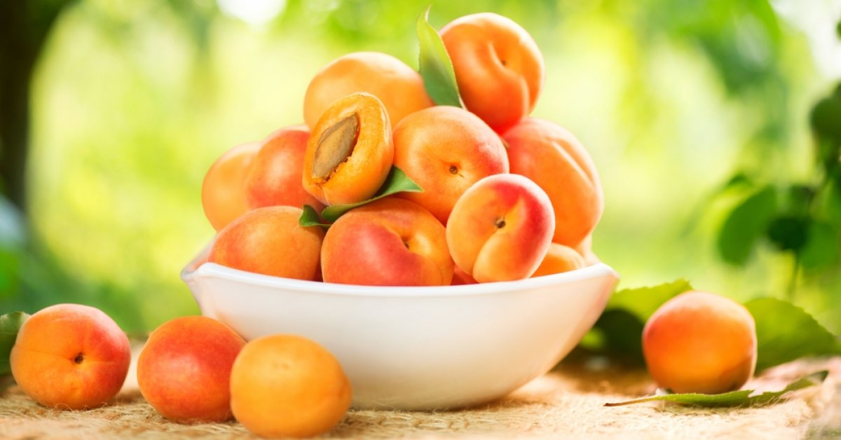 Marhule - ZDRAVIE.sk