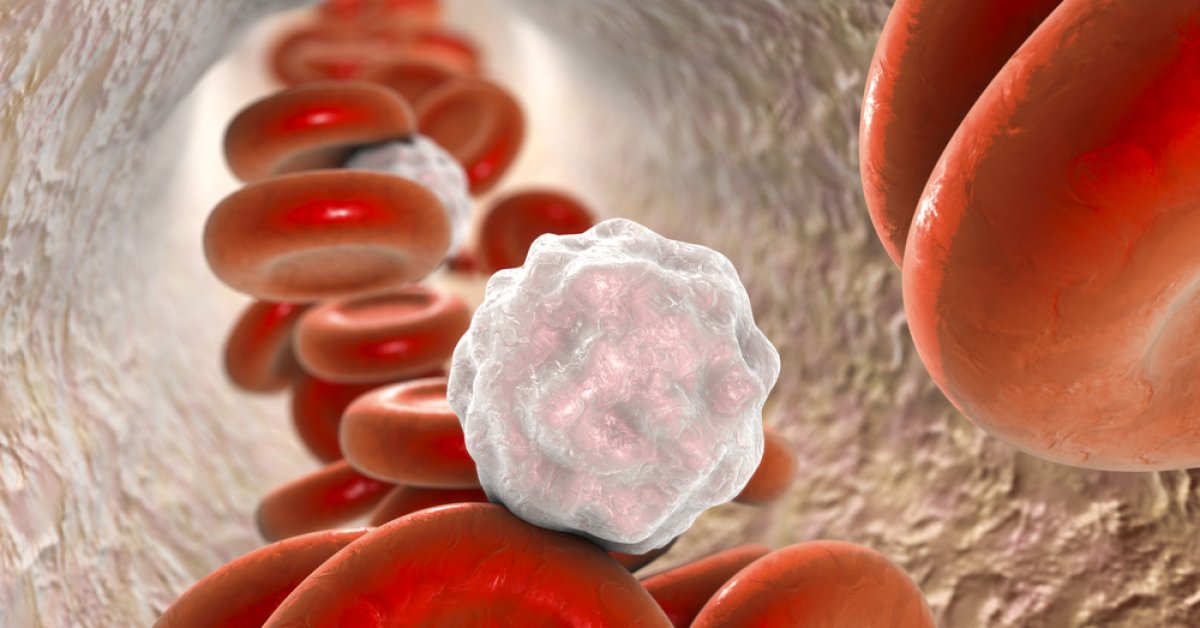 Biele krvinky (leukocyty) - ZDRAVIE.sk