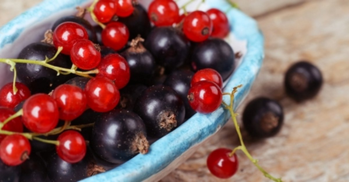 Červené alebo čierne? Ktoré ríbezle sú pre vás zdravšie? - ZDRAVIE.sk