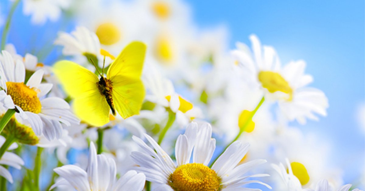 Na jar neožíva iba príroda - ZDRAVIE.sk