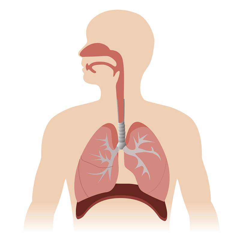 Čo je calcar calcanei – pätová ostroha? - ZDRAVIE.sk